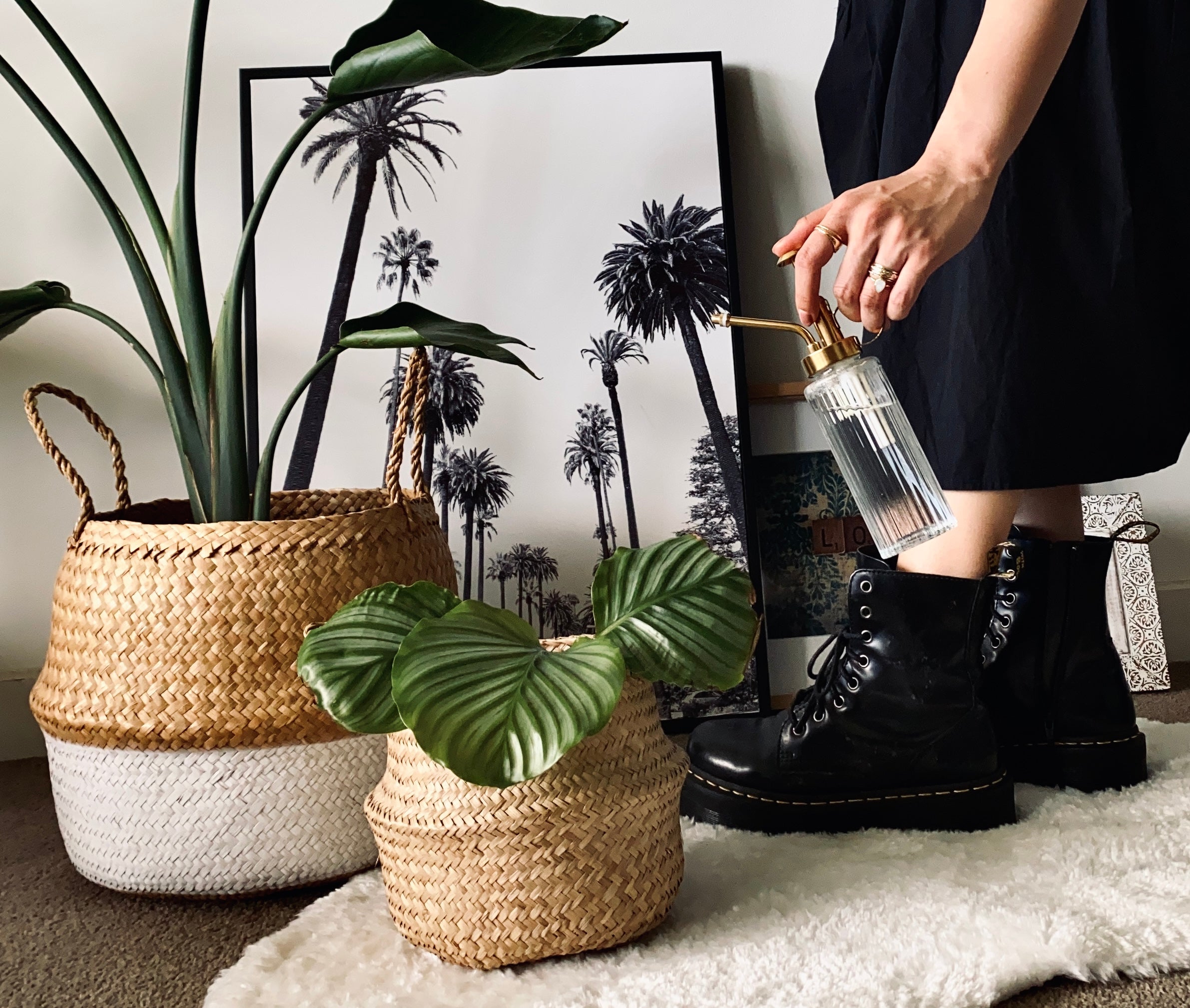 Products – Page 3 – Enliven Plants