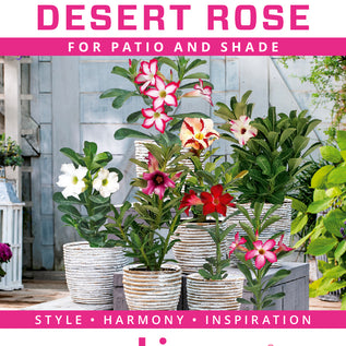 Products – Enliven Plants