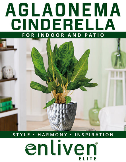 Products – Enliven Plants